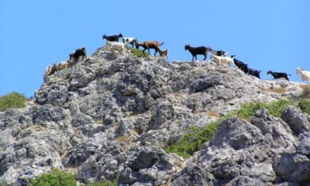 Gražiausios Graikijos salos | Alfa.lt